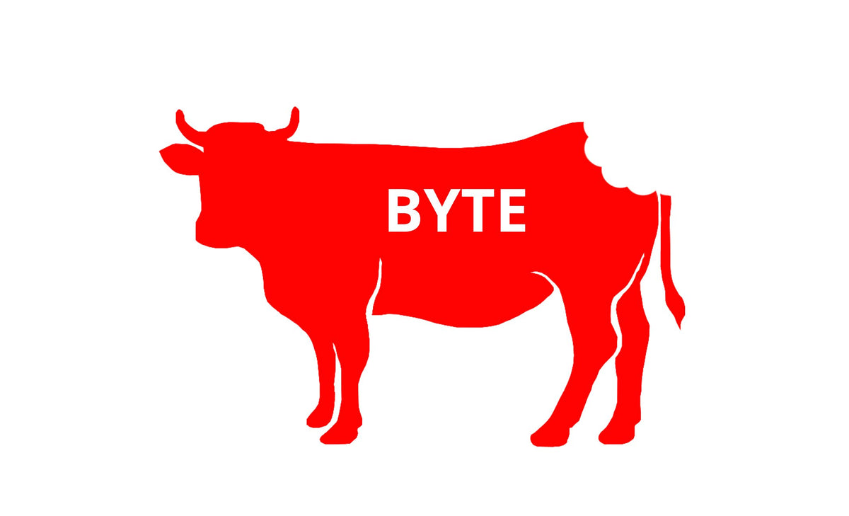 Byte Biltong - Seasoned, Sliced, Air Dried Beef South African Style